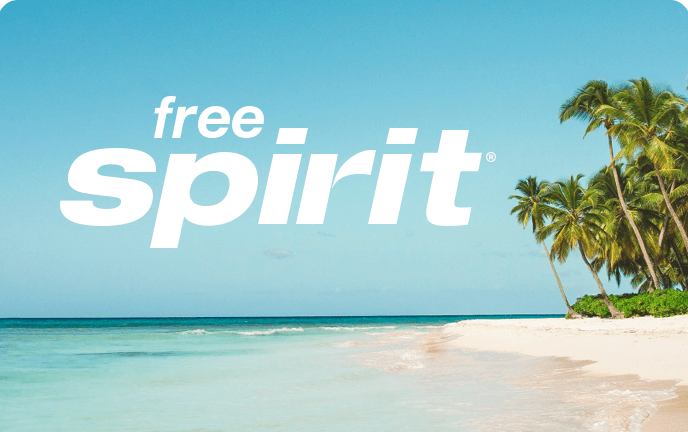 Spirit Airlines